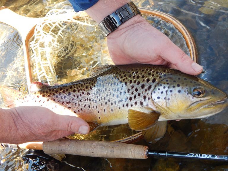 Sky Blue Outfitters Central PA Fly Fishing Guide Service on Penns Creek ...