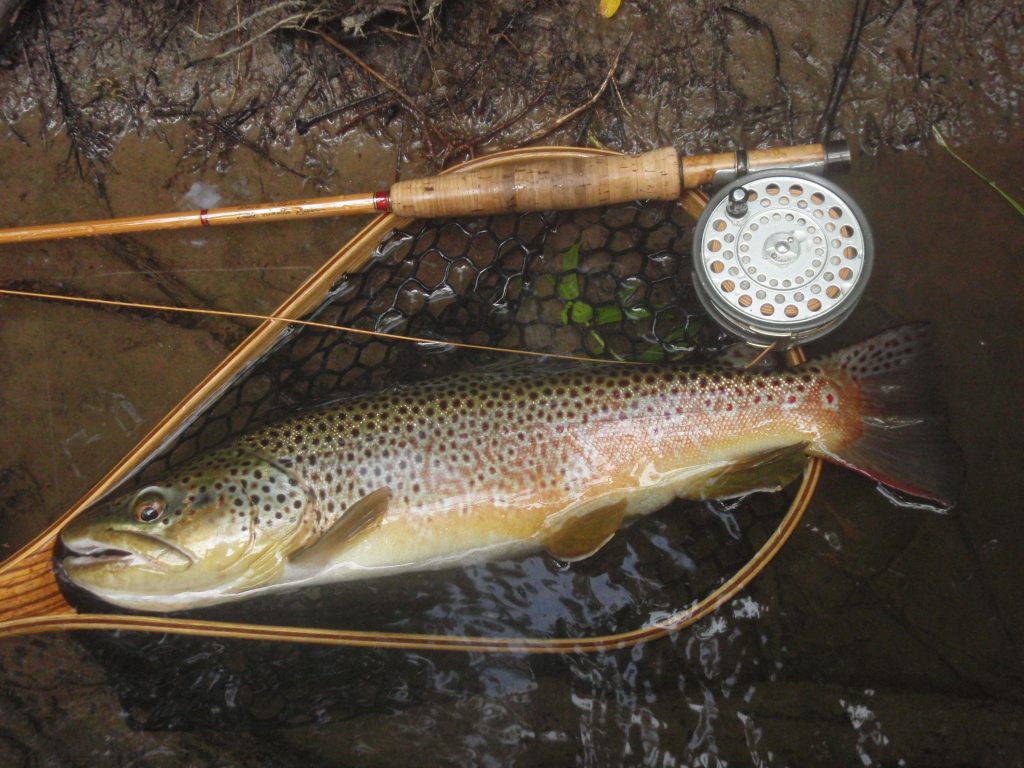 Sky Blue Outfitters Central PA Fly Fishing Guide Service on Penns Creek ...