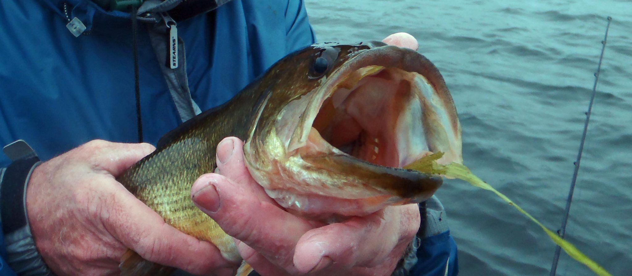 Bass And Pickerel Fishing In Pennsylvania – Sky Blue Outfitters Guide ...