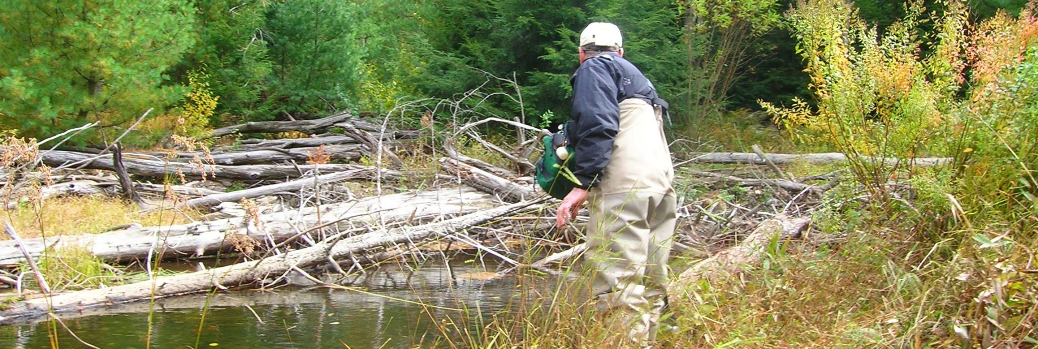 Sky Blue Outfitters Guide Service For Wild Trout, Brook, Rainbow and ...