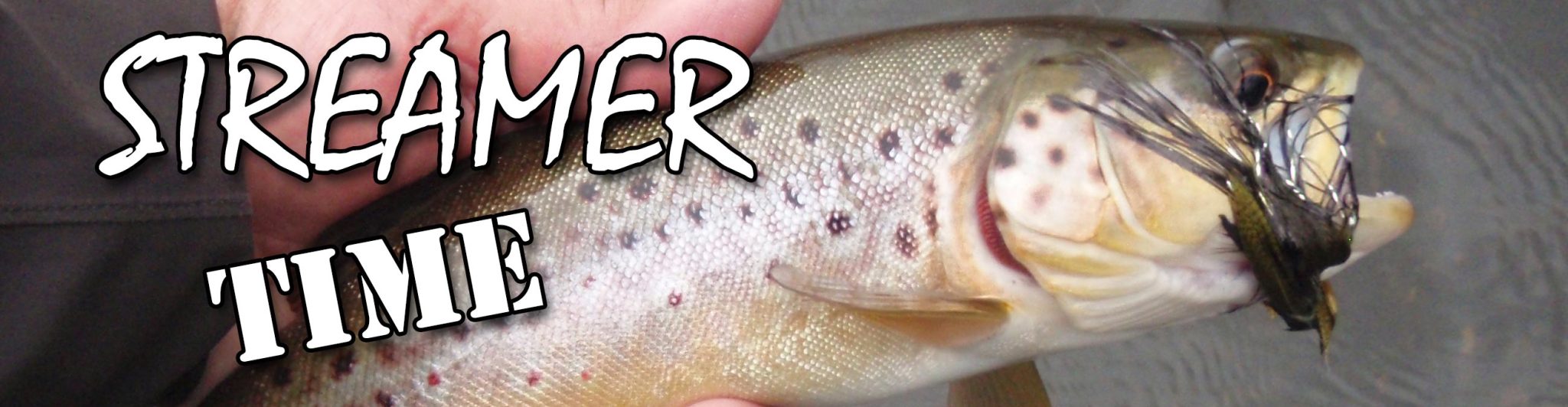 Streamer-Time – Sky Blue Outfitters Guide Service